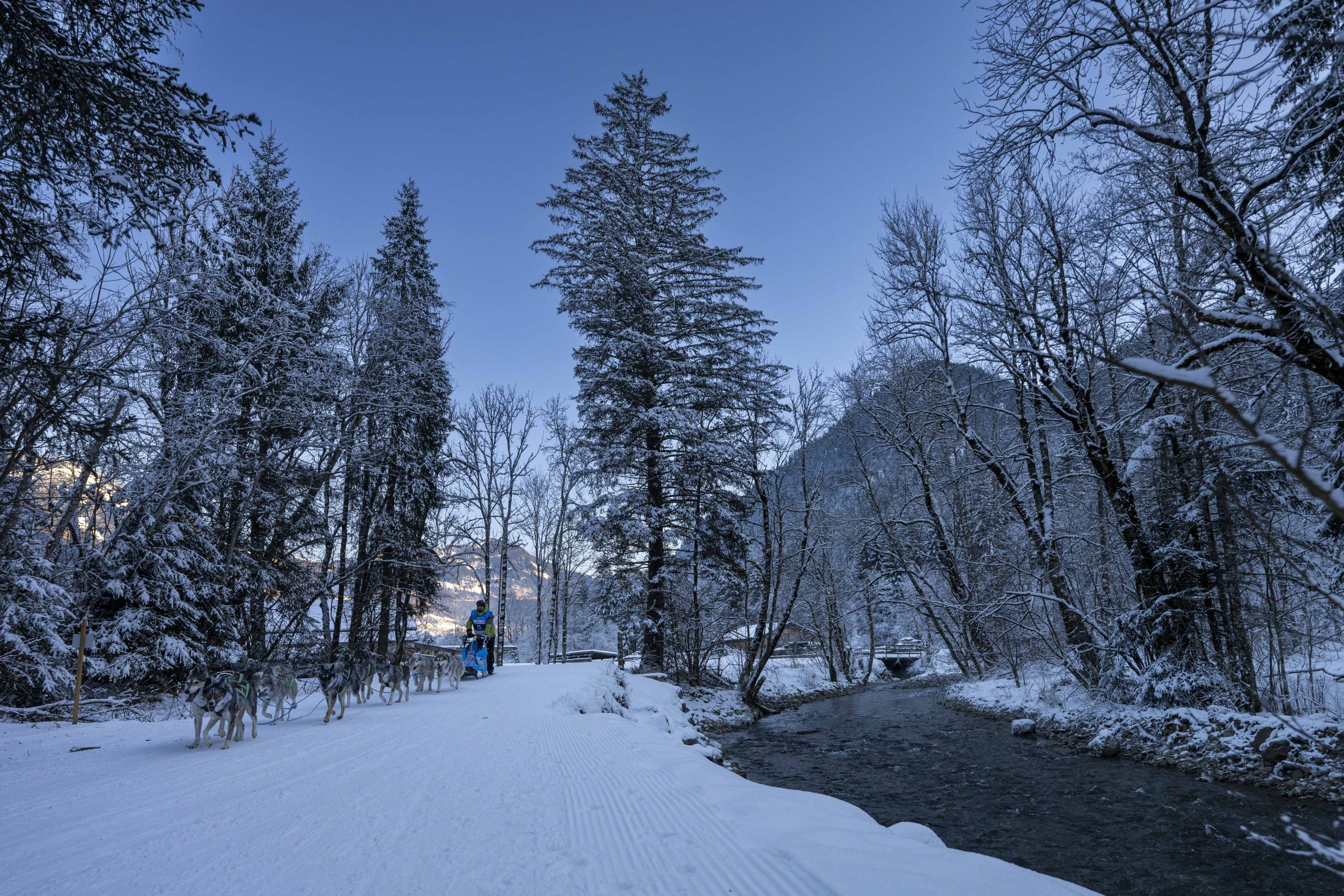 Grande Odyssée Alexandre Camberlein le musher nordiste